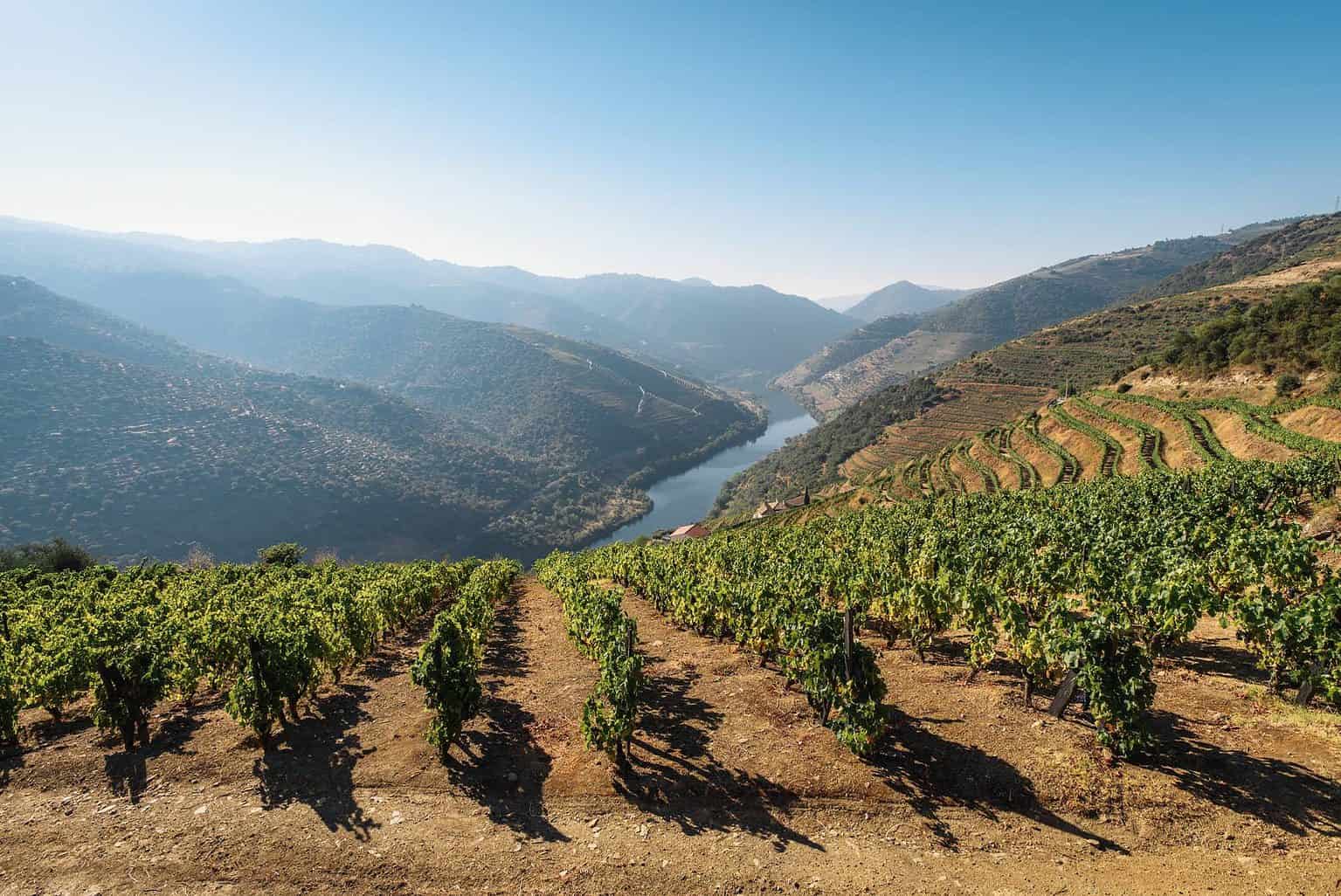 Visiting the Douro Wine Valley in Northern Portugal - Travel Dudes